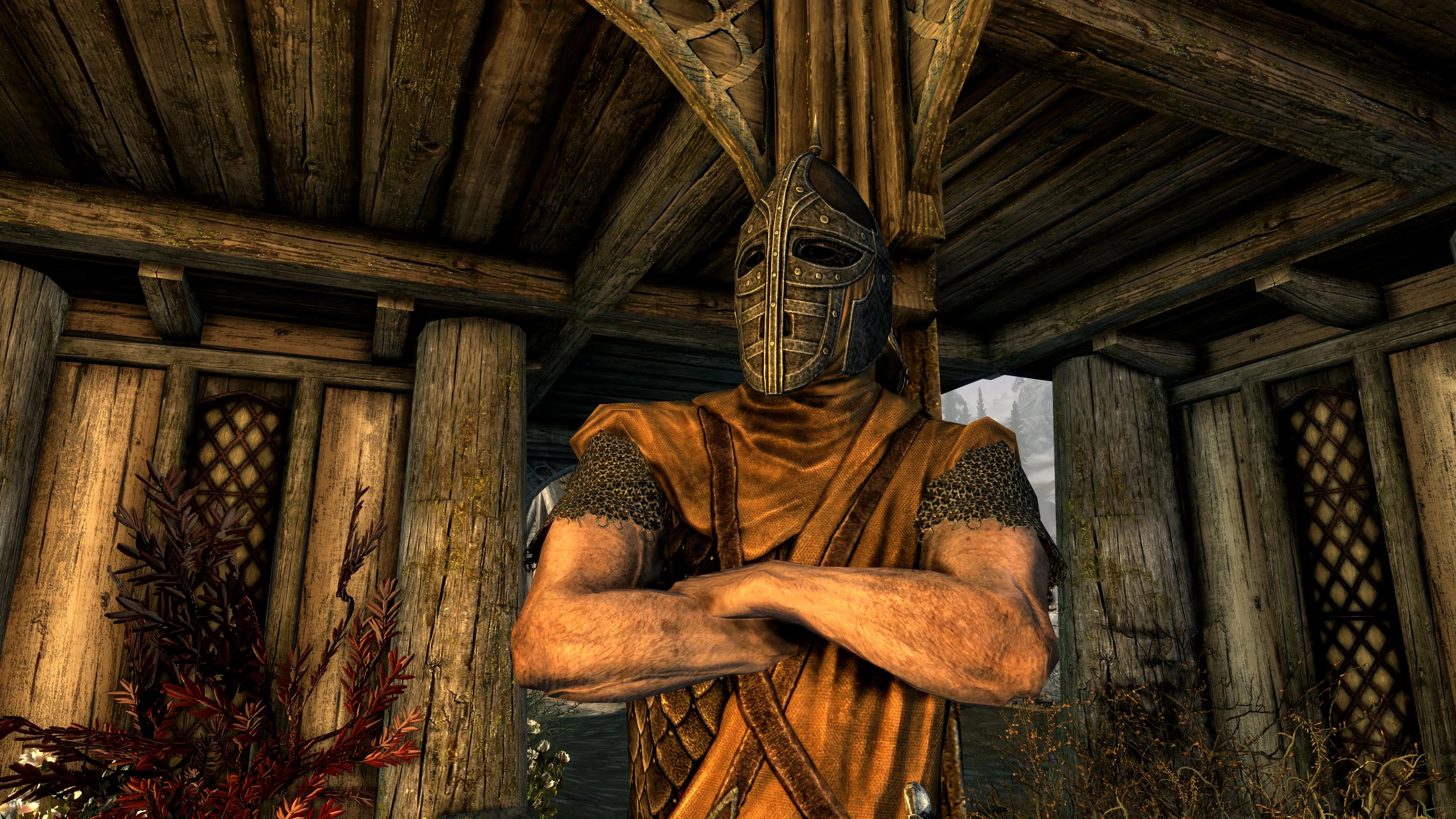 Whiterun Guard Skyrim Creations Reasonable Guard Dialogue [PC]