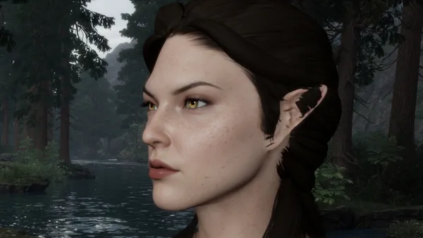 Prévia de imagem 8