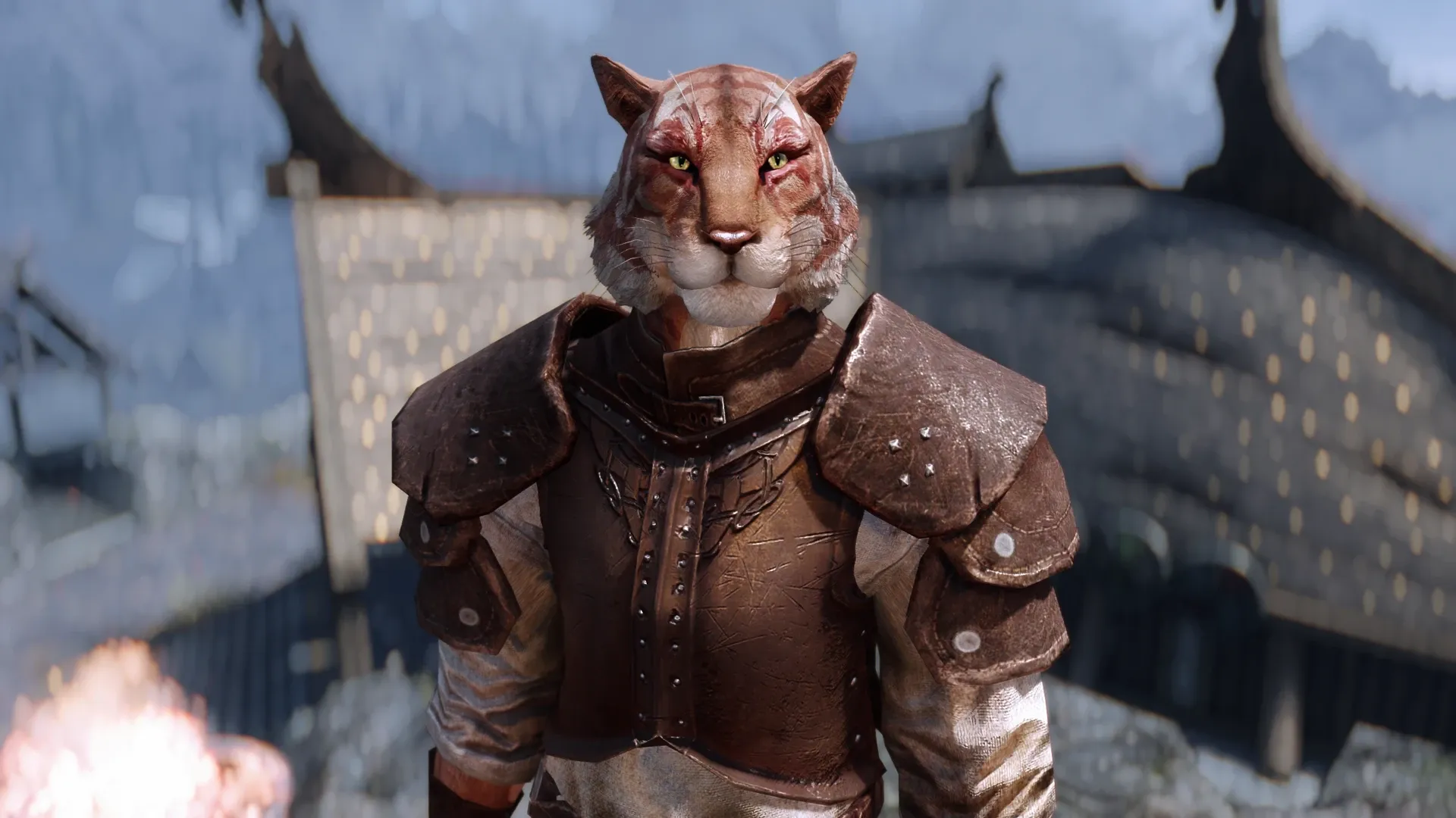 Khajiit Wallpaper Background