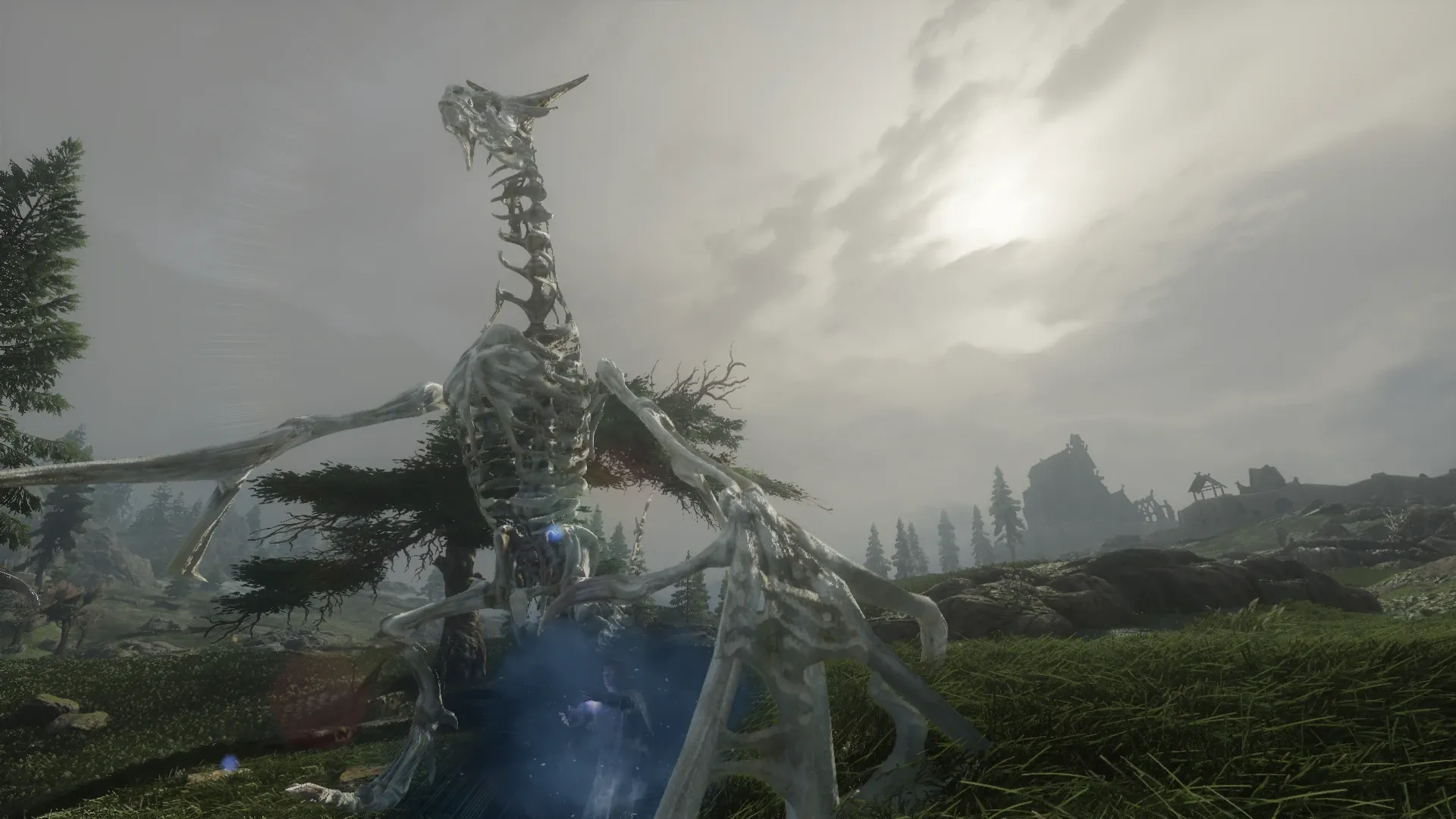 Dragon Skeleton Skyrim