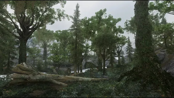 Preview Image 3
