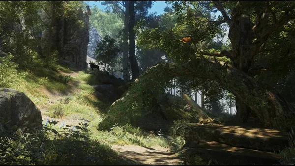 Preview Image 2