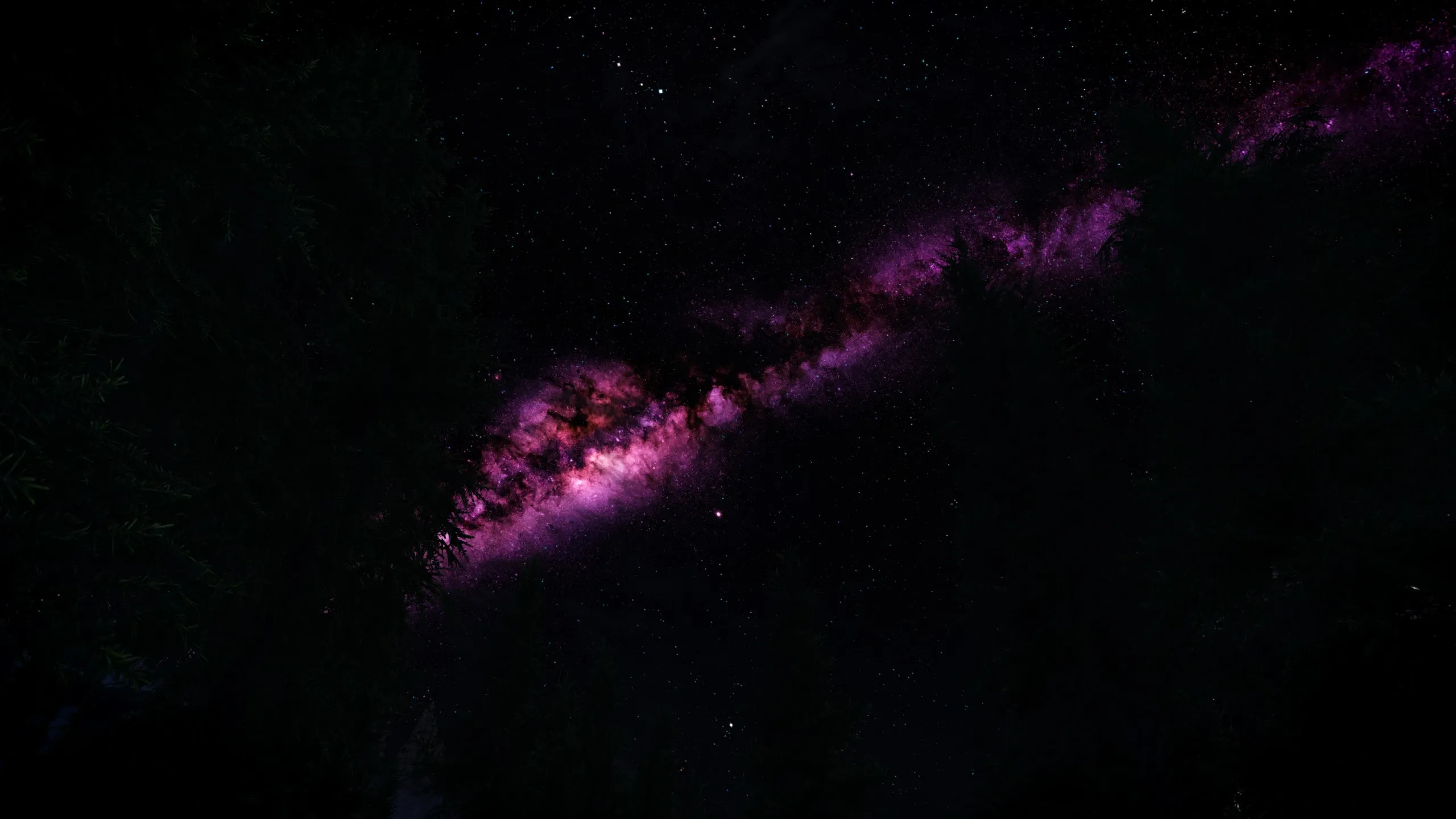 57118-1634423650-999562382.png