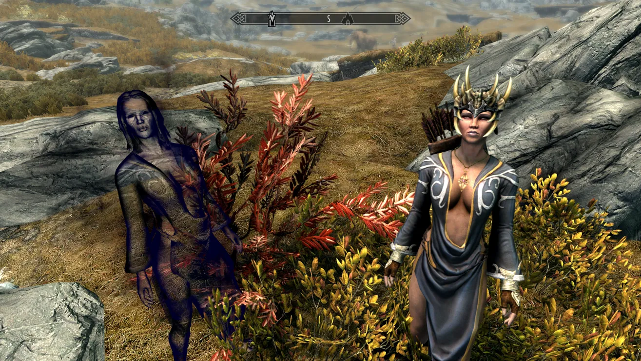 Skyrim Flower Girl Mod Xbox One | Best Flower Site