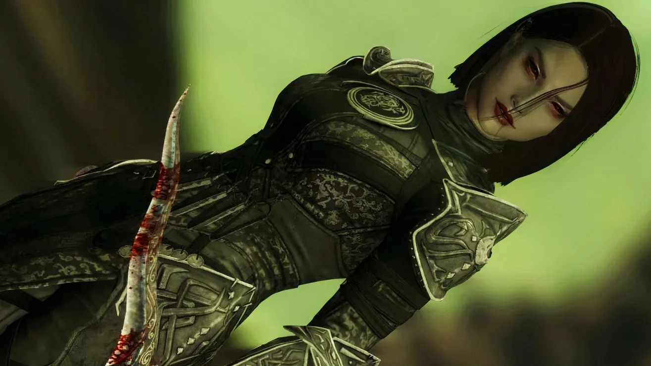 Skyrim Female Assassin Armor