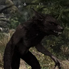 Shadow Werewolf The One Regret Of The Shadow Lords Werewolf The