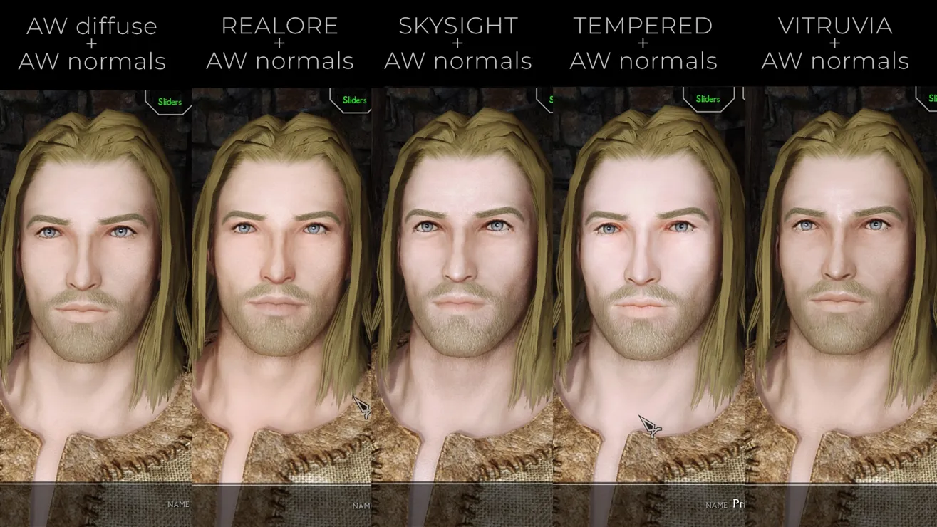 Mod Skin Skyrim